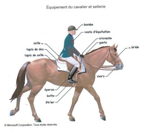 Pingl Sur Citations