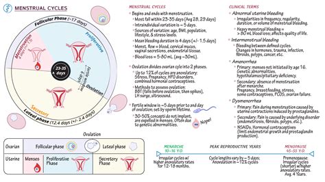 Usmle Comlex Step Menstrual Cycles Normal Variability And