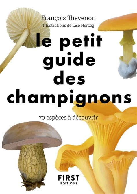 Les 7 Vrais Meilleurs Livres Sur Les Champignons En 2023