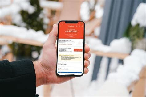 Mudah Cara Mengatasi Shopee Paylater Dibekukan Langsung Bisa Dipakai