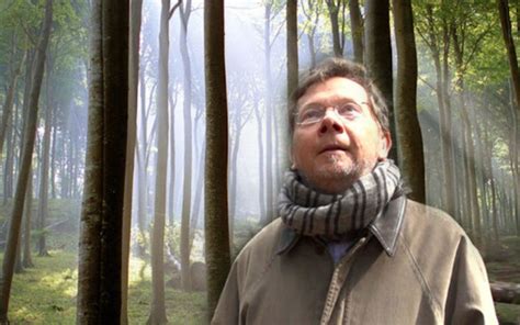 Eckhart Tolle Los Pensamientos Ya No Me Controlan Vida Positiva
