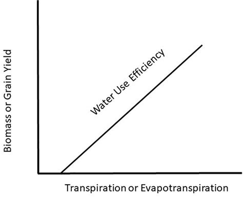 Frontiers Water Use Efficiency Advances And Challenges In A Changing