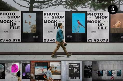 Best Poster Mockup Templates Gold Coast Business Websites