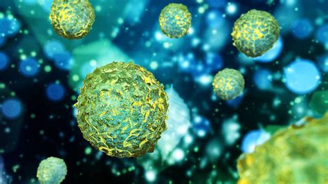 Qué es el trasplante hematopoyético y para qué se emplea
