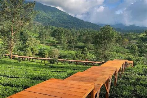 5 Wisata Puncak Bogor Terbaru Yang Wajib Dikunjungi Di Akhir Pekan