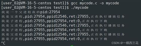 linux：创建进程 fork，到底是什么？