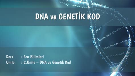 8 Sınıf Fen Bilimleri 2 Ünite DNA ve Genetik Kod 1 DNA ve Genetik