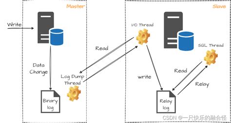 使用docker搭建mysql主从数据库 docker 搭建mysql数据库 csdn博客