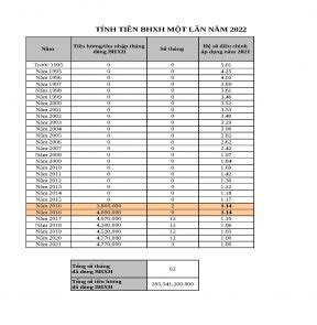 File Excel tính tiền nhận BHXH 01 lần cho người lao động năm 2022 Cách