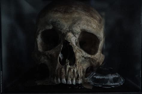 Human Skull By Stocksy Contributor Paul Schlemmer Stocksy