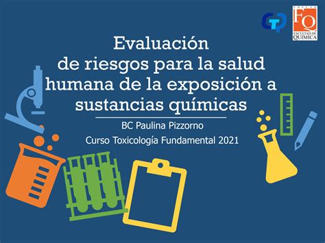 SOLUTION 03 Toxicologia Evaluaci N De Riesgos De Las Sustancias Qu
