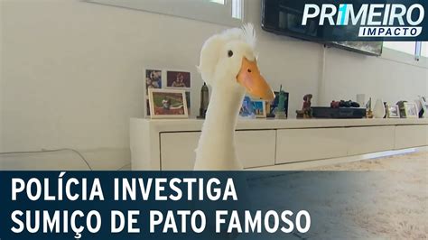 Polícia abre inquérito para apurar desaparecimento de pato Primeiro