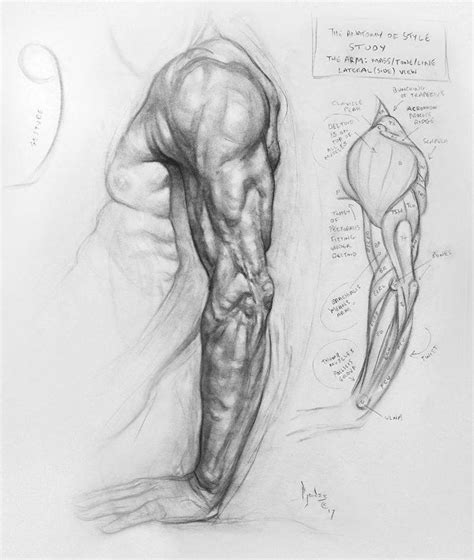 Books For Drawing Anatomy Drawing Rjuuc Edu Np