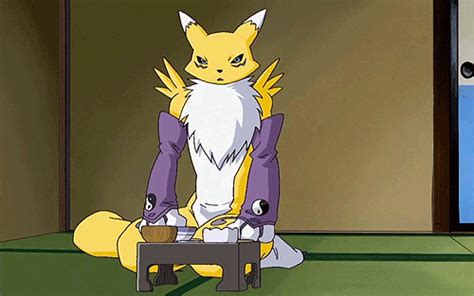 Renamon On Tumblr