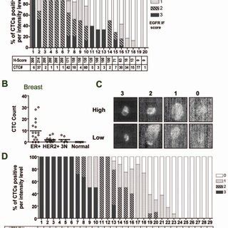 A Epcam Expression In Breast Cancer Cell Lines Grouped By Molecular