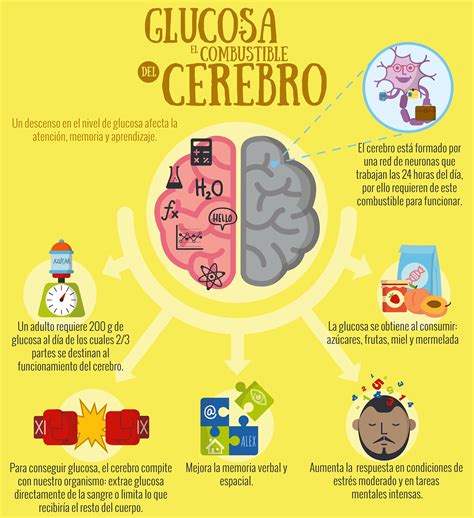 Top Imagen Cerebro Mapa Mental Viaterra Mx