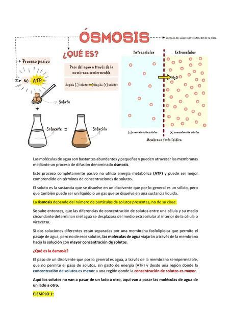 Ósmosis Valentina Carrazana uDocz