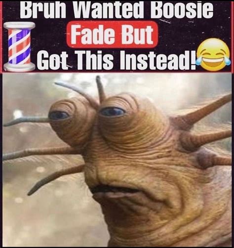 Silly Images Silly Pictures Really Funny Pictures Funny Images