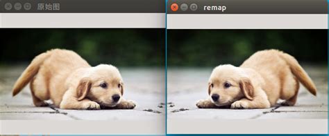 opencv remap函数测试 remap（）简单重映射 csdn博客