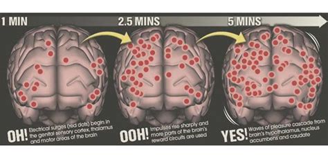 Good Article Health Women Need 5 Minutes To Orgasm
