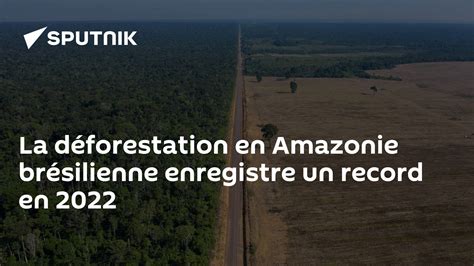 La déforestation en Amazonie brésilienne enregistre un record en 2022