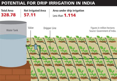 The Indian Drip Irrigation Jugaad Forbes India