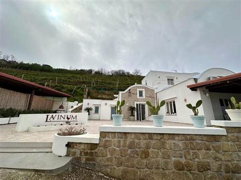 Lavinum A Monte Di Procida Storia Ed Enogastronomia Campania ANSA It
