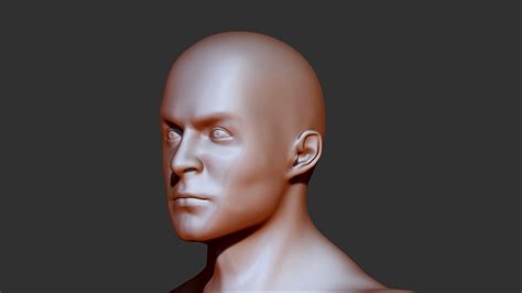 3D Male Torso Print TurboSquid 1724422
