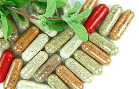 5 Suplementos Imprescindibles