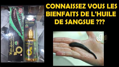 CONNAISSEZ VOUS LES BIENFAITS DE L HUILE DE SANGSUE YouTube