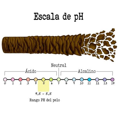 Tabla Del Ph
