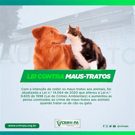 LEI CONTRA MAUS TRATOS CRMV PA