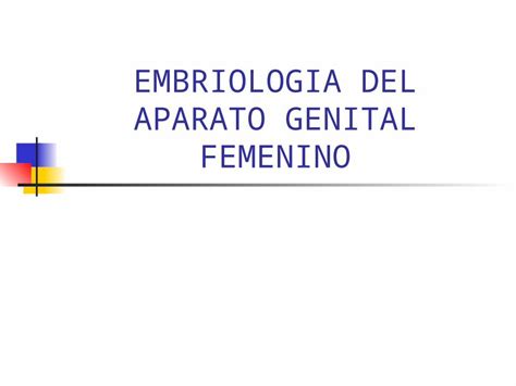 Ppt Embriologia Del Aparato Genital Femenino Embriologia Estudio