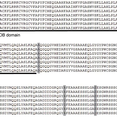 Sequence Alignment Of Rtcs Proteins Encoded By Different Cds