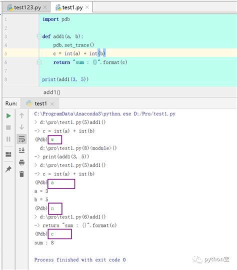 【python debug什么意思】 大白社区