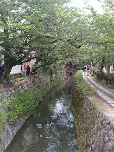 Philosopher Path Kyoto Japan Noussa Noussa Flickr