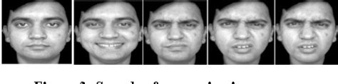 figure 3 from human facial expression recognition using gabor filter bank with minimum number of