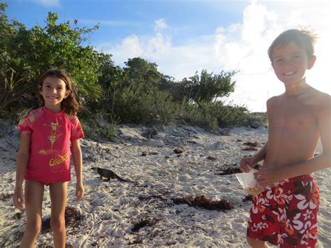 En famille et à voile sur Oséo Blog Archive Sauts de puce dans les