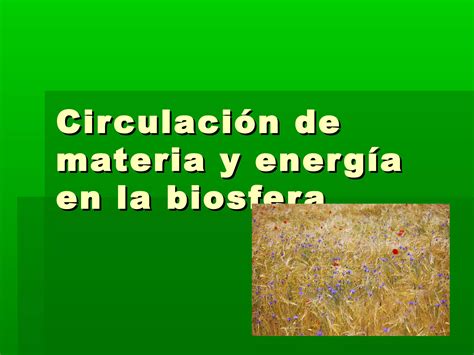 Tema 4 Circulacion De Materia Y Energia En La Biosfera 1 PPT