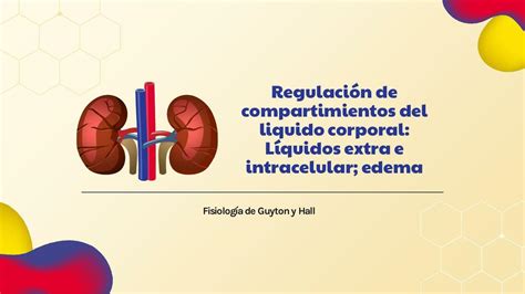 Regulación de Compartimientos del Liquido Corporal Líquidos Extra e