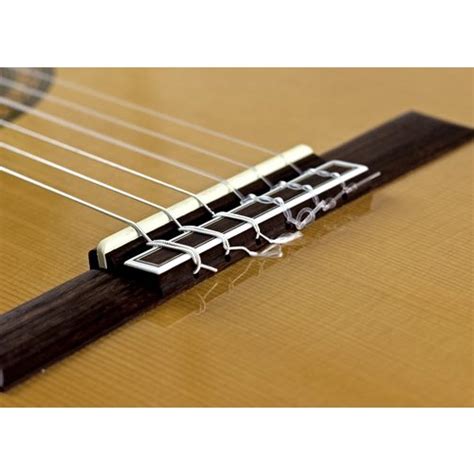 Clearest Classical Guitar Bass Strings Deals Laseb Fae Ufmg Br