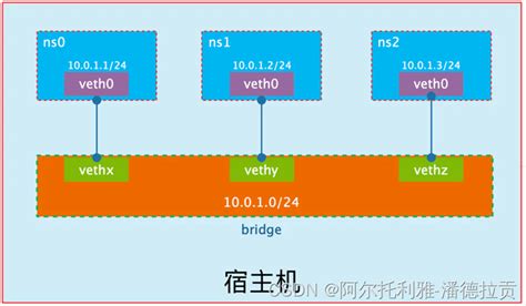 Linux虚拟网络设备 bridge veth pair CSDN博客