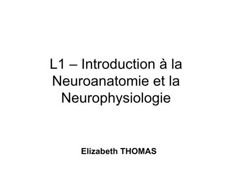 PDF L1 Introduction à la Neuroanatomie et la clemgogo free fr