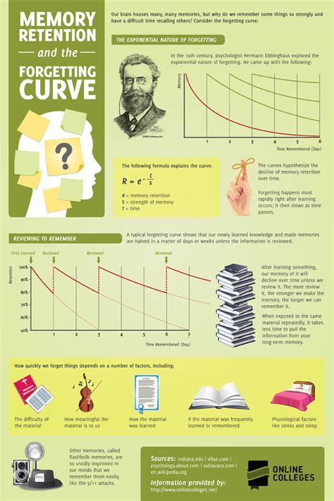 memory retention and the forgetting curve infographic e learning infographics