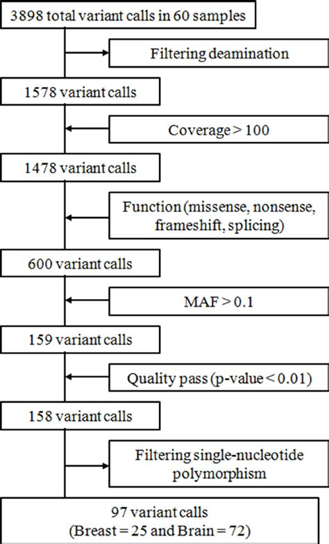 summary of variant call processing download scientific diagram