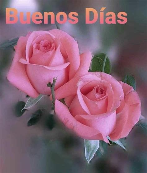 Buen Dia Angelitos Perlasyangeles Buenos D As Saludos Hola