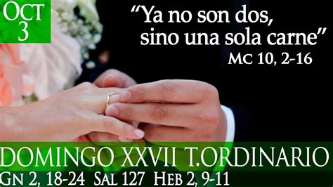 EVANGELIO DOMINGO OCTUBRE 3 DE 2021 MARCOS 10 2 16 YouTube