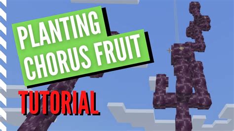 How To Plant CHORUS FRUIT In Minecraft YouTube