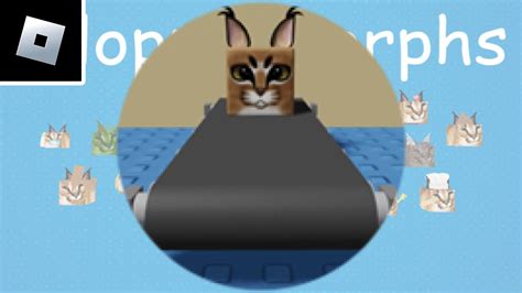Roblox Find The Floppa Morphs How To Get Conveyor Floppa Badge Youtube