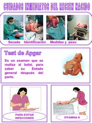 Rotafolio Cuidados Del Recien Nacido PDF